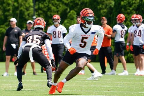 Watch: Bengals' fan favorite spotted in Savannah Bananas' dugout