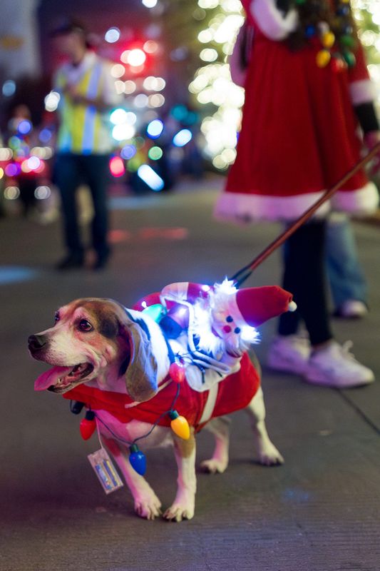 Scherr Legate Lights Parade to kick off holiday season, WinterFest in ...
