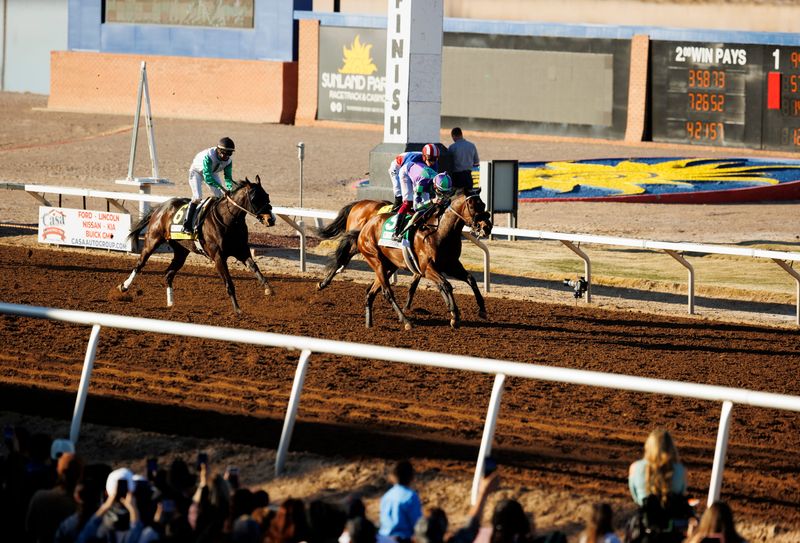 Sunland Derby to Kentucky Derby: Tracing the path of racing stars
