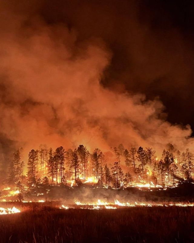 Here's the latest as the Trout Fire continues to burn in Gila, New Mexico
