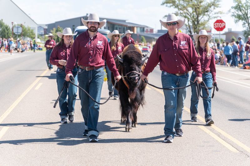 WT celebrates ‘Wild West Texas’ homecoming with parade, tailgating and ...