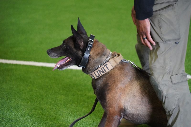 Lubbock County Sheriff's Office to honor longest serving police dog Arlo