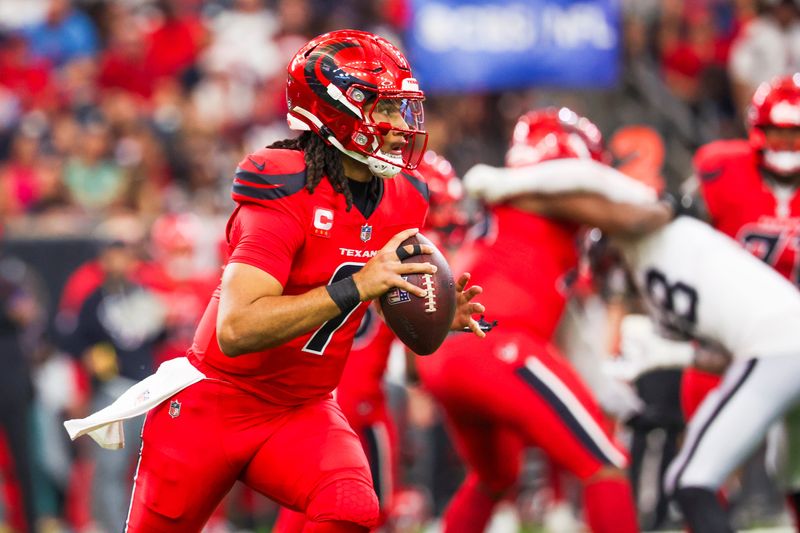 NFL playoff picture: Here's how the Texans can clinch a bid in Week 17