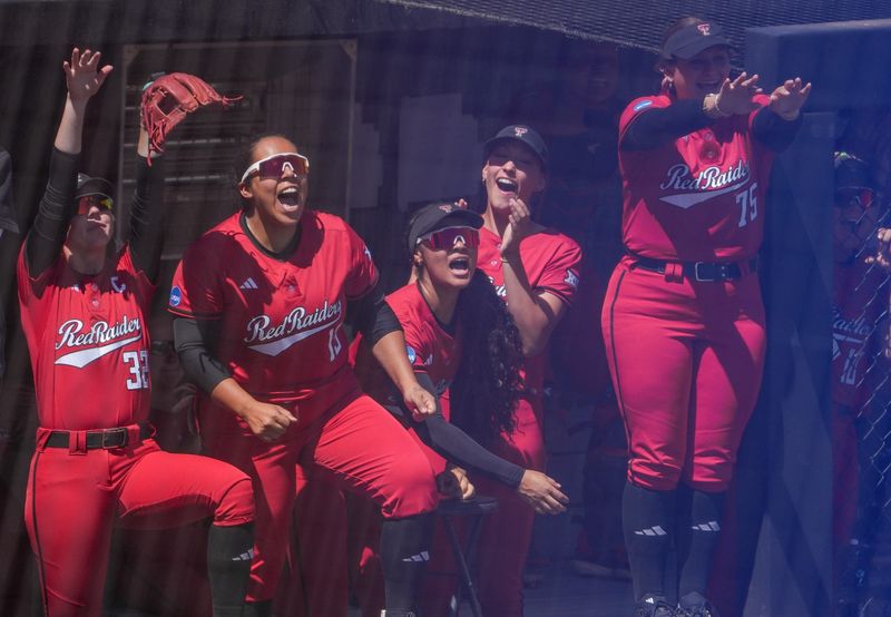 Texas Tech lands four Softball America All-Americans, program record