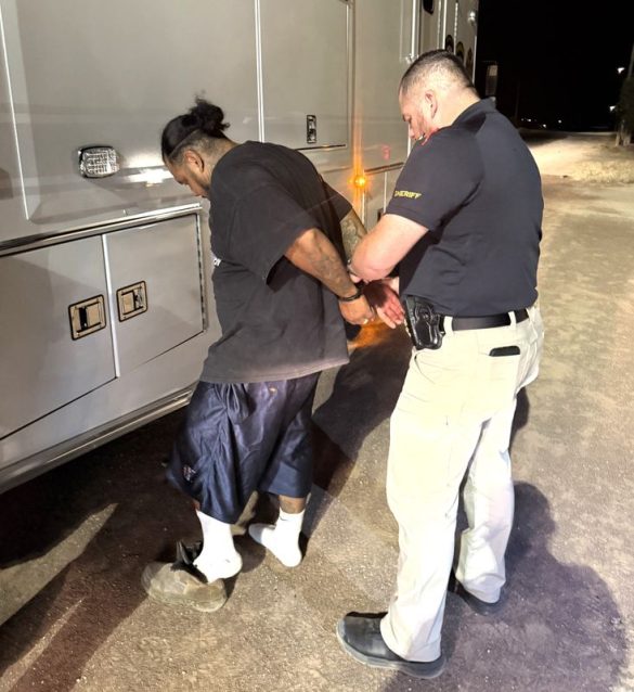 El Paso County man arrested, 35 dogs, cats and pigs removed from home
