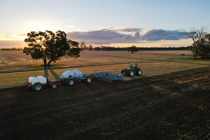 Australia says its wheat output will be shrunk by Iran war costs, dry ...
