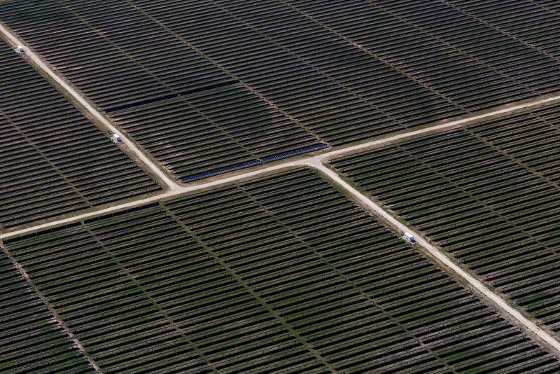 US solar companies urge Congress to address Trump's solar permit freeze