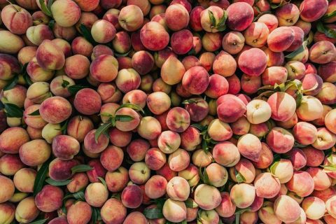 Tree-Ripe Fruit Co. announces 2025 Milwaukee-area dates for ‘bumper ...