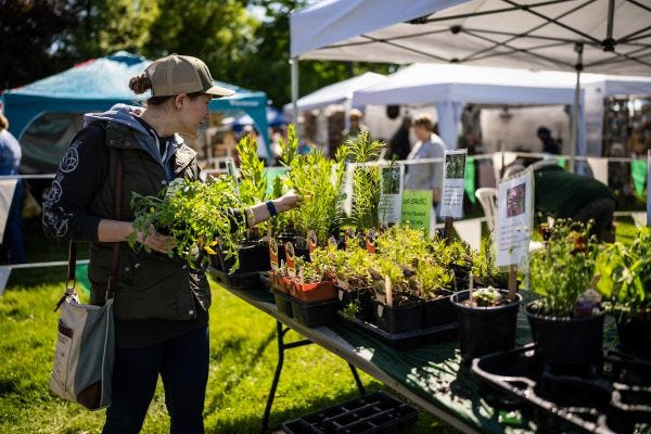 12 Green Bay-area plant sales and gardening events to explore in 2026