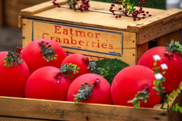 Your guide to the 2026 Cranberry Blossom Festival in Wisconsin Rapids