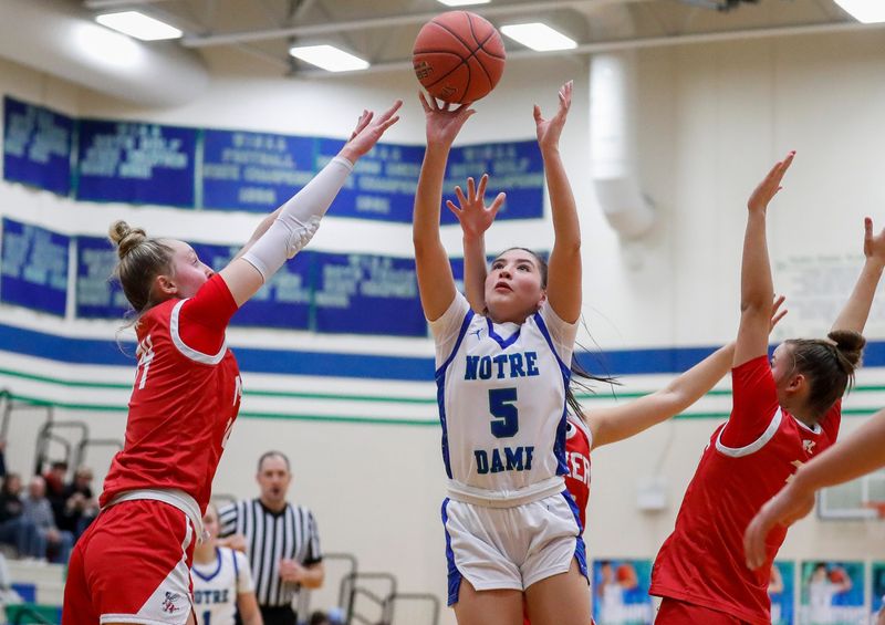Abby Tassoul, Destiny Webster headline top girls basketball performers