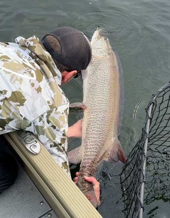 56-inch musky sets new state record. What are the other largest fish ...