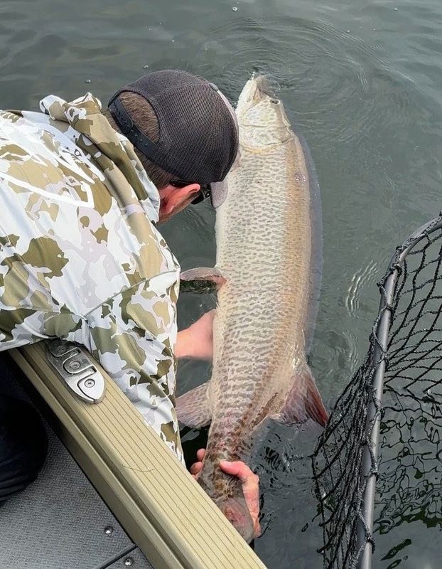 56-inch musky sets new state record. What are the other largest fish ...