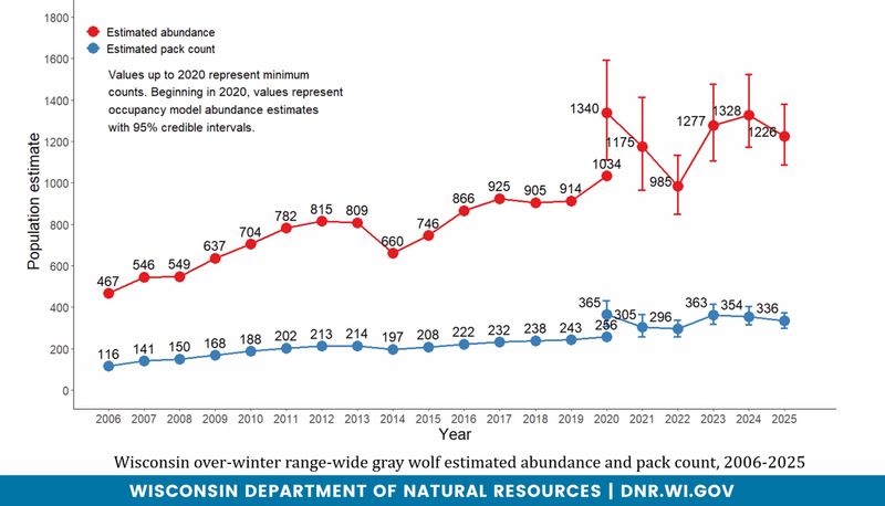 DNR releases updated Wisconsin wolf population estimate