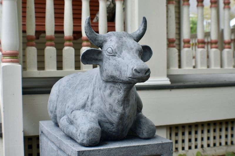 Lions? Nah. This Sheboygan artist created cow statues for the front of ...