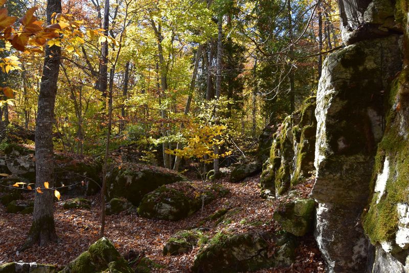 Natural limestone amphitheater highlights new land trust property on ...