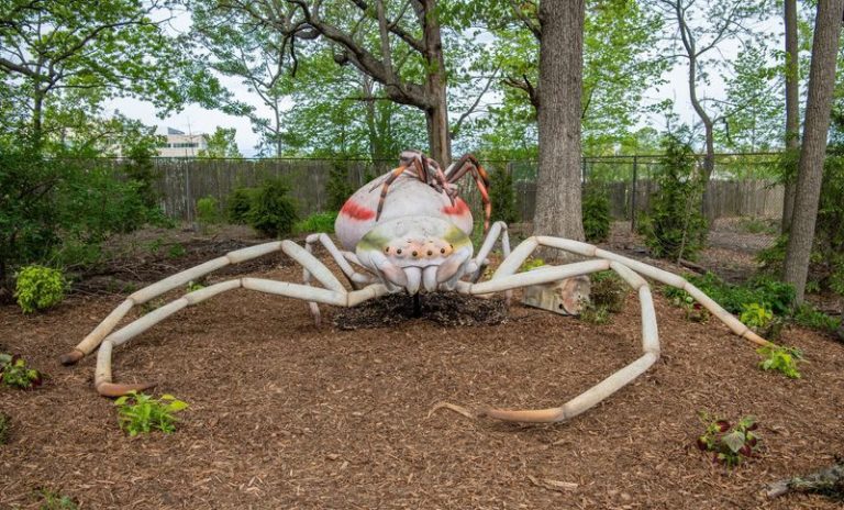 Giant bugs are taking over Milwaukee County Zoo in new exhibit